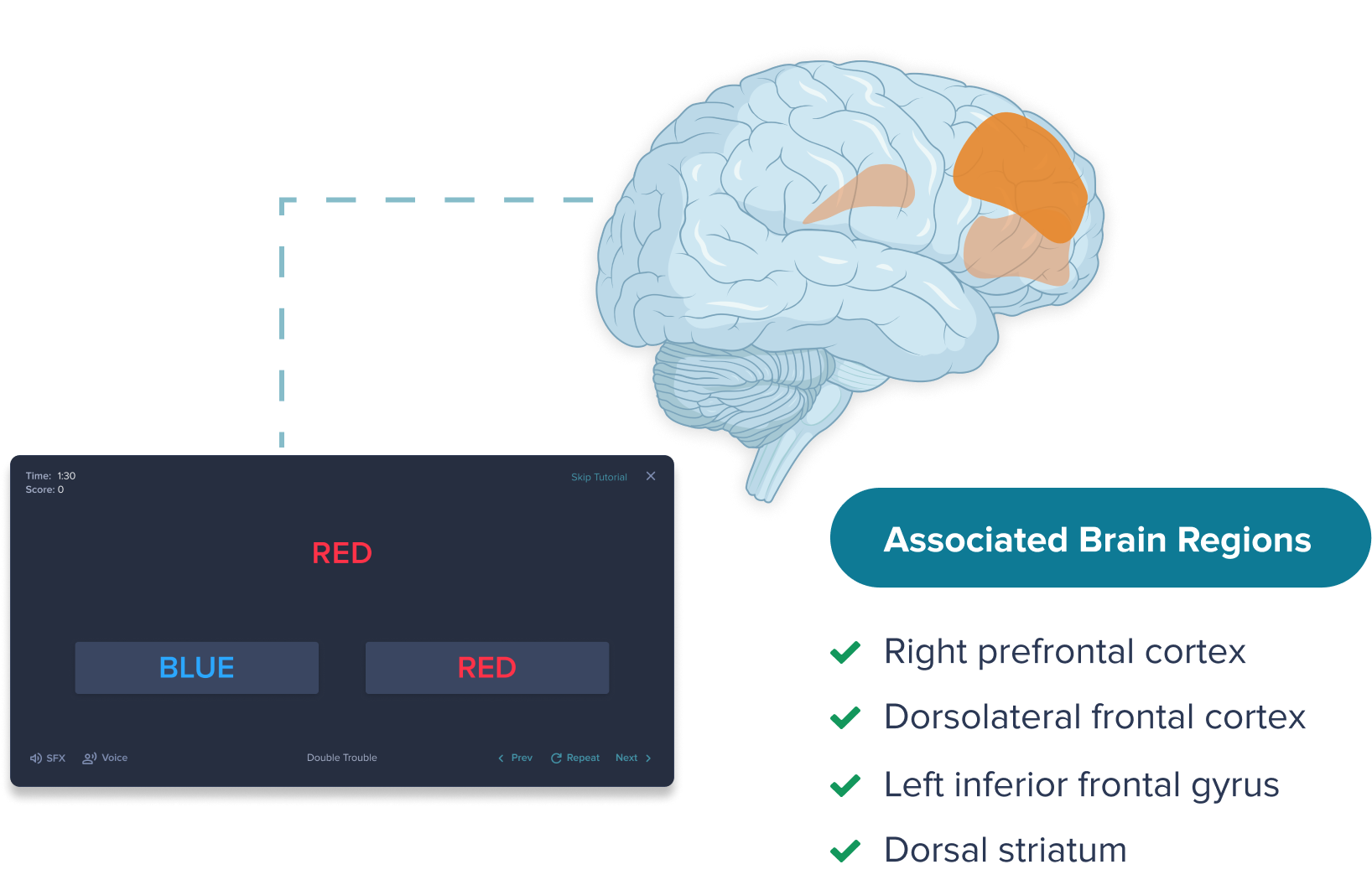 Primary Care Providers | Creyos